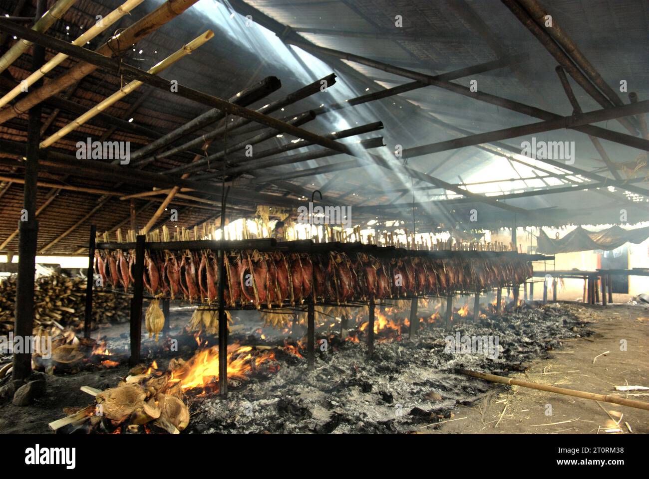 View of a smoked fish production workshop that uses skipjack tuna meats ...