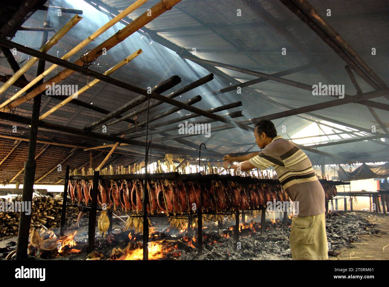 View of a smoked fish production workshop that uses skipjack tuna meats ...