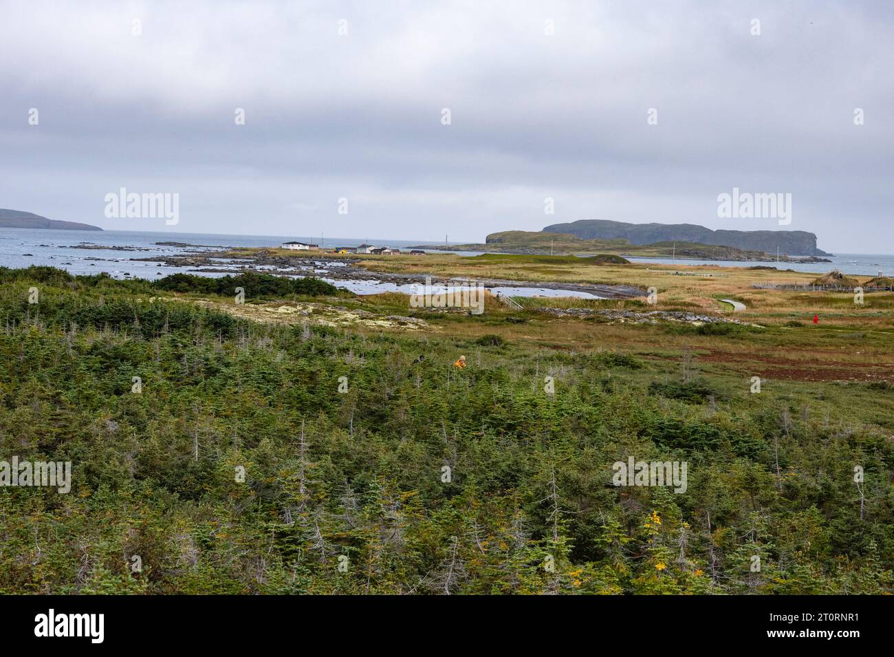 Beach in L’Anse aux Meadows, Newfoundland & Labrador, Canada Stock ...