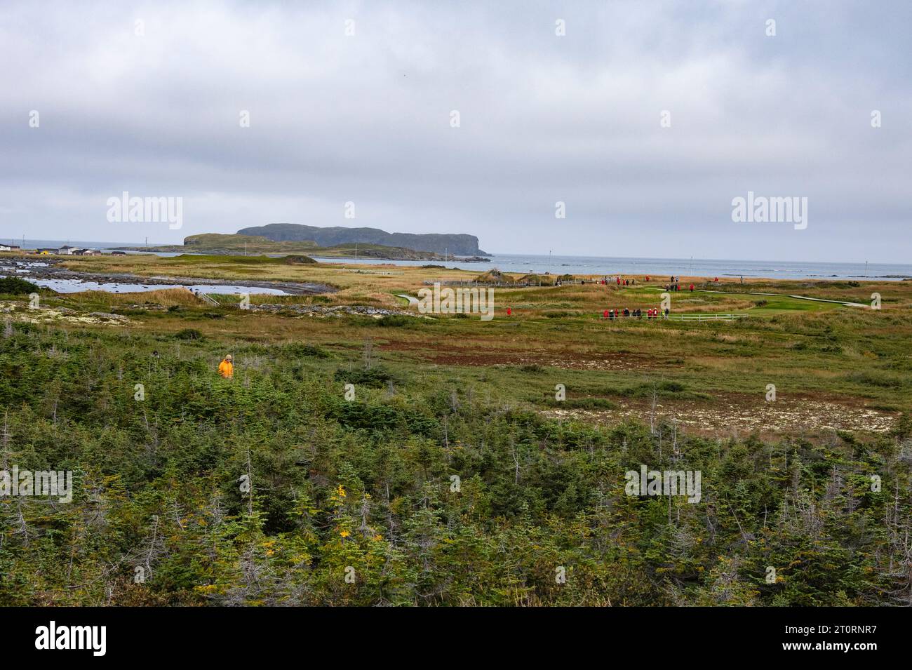 Beach in L’Anse aux Meadows, Newfoundland & Labrador, Canada Stock ...