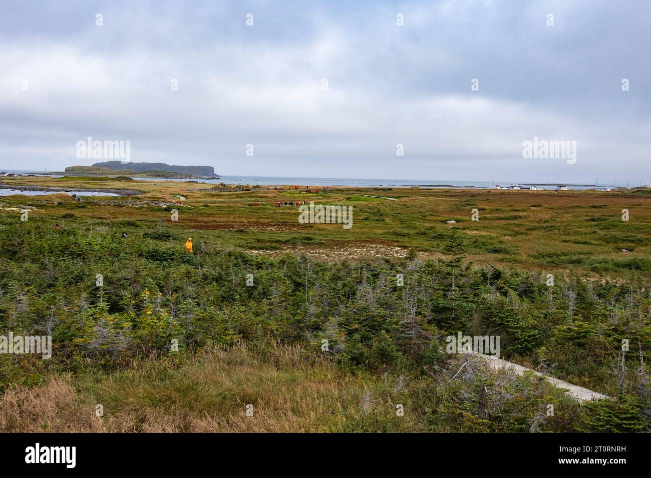Beach in L’Anse aux Meadows, Newfoundland & Labrador, Canada Stock ...