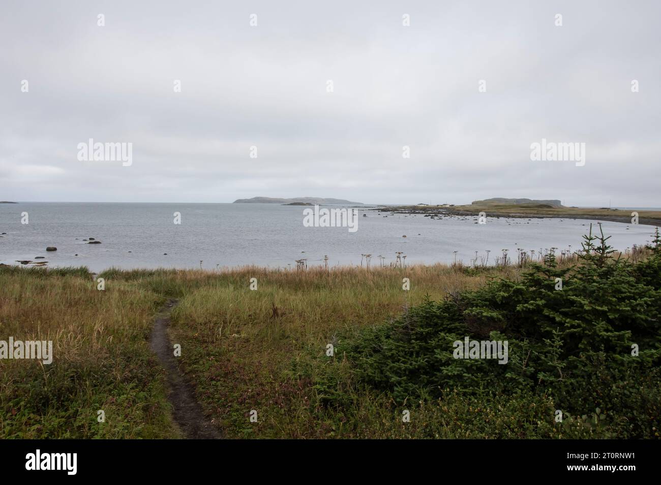 Beach in L’Anse aux Meadows, Newfoundland & Labrador, Canada Stock ...