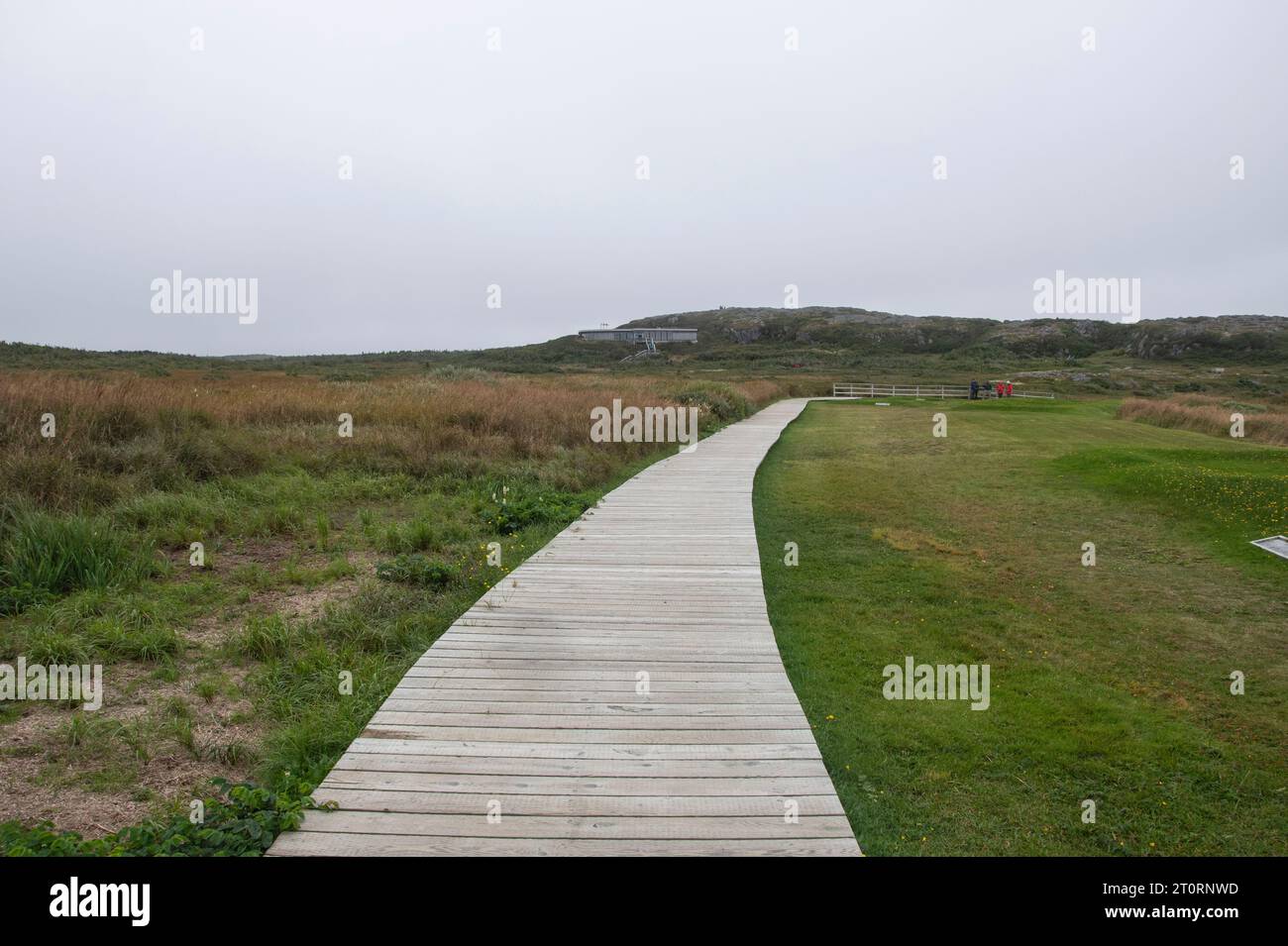 Wooden boardwalk in L’Anse aux Meadows, Newfoundland & Labrador, Canada ...