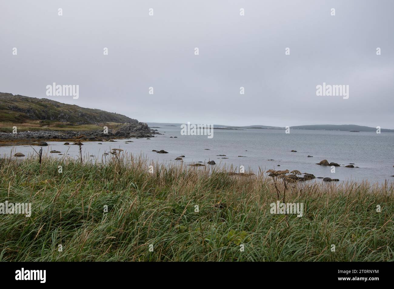 Beach in L’Anse aux Meadows, Newfoundland & Labrador, Canada Stock ...