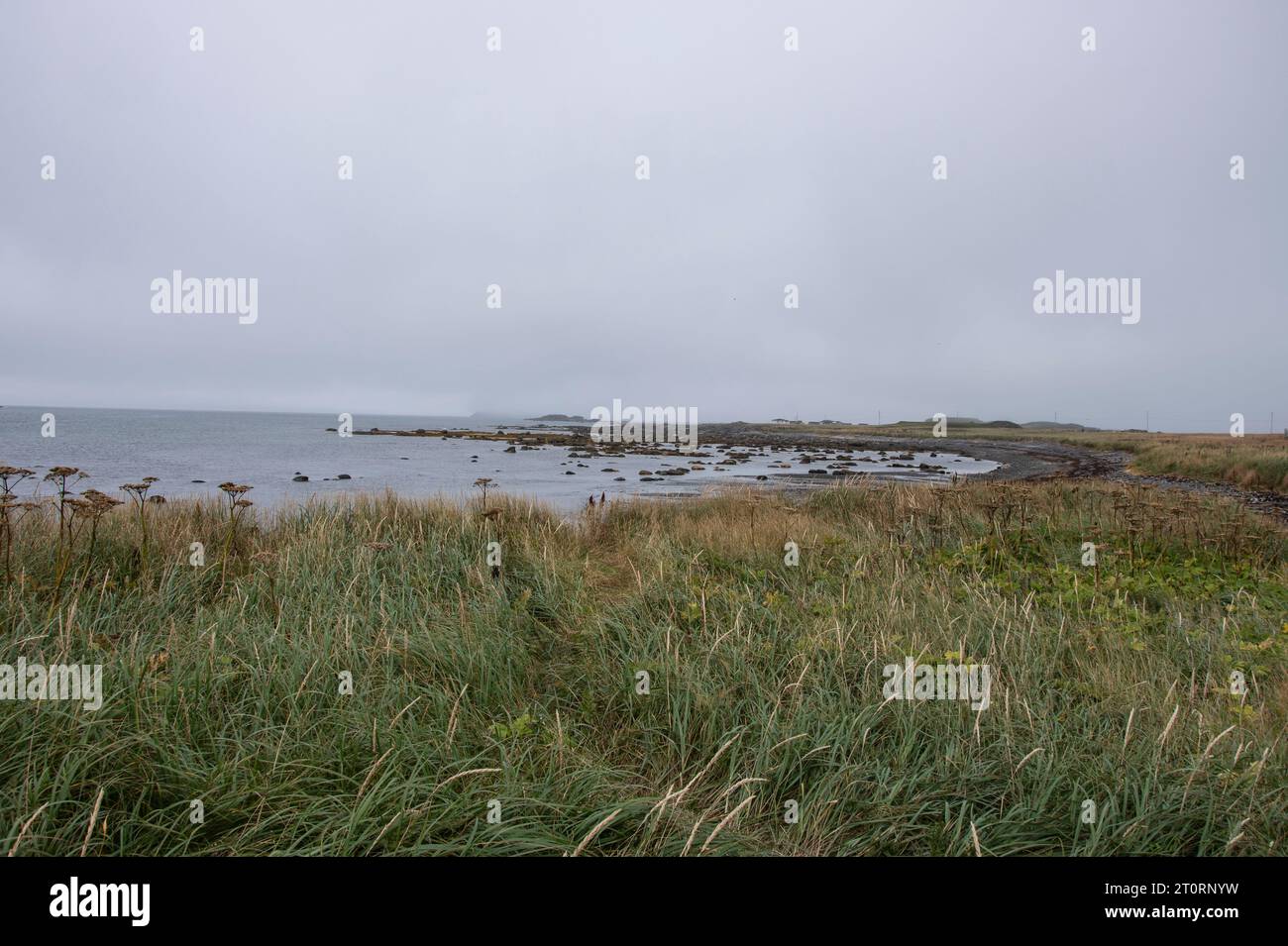 Beach in L’Anse aux Meadows, Newfoundland & Labrador, Canada Stock ...