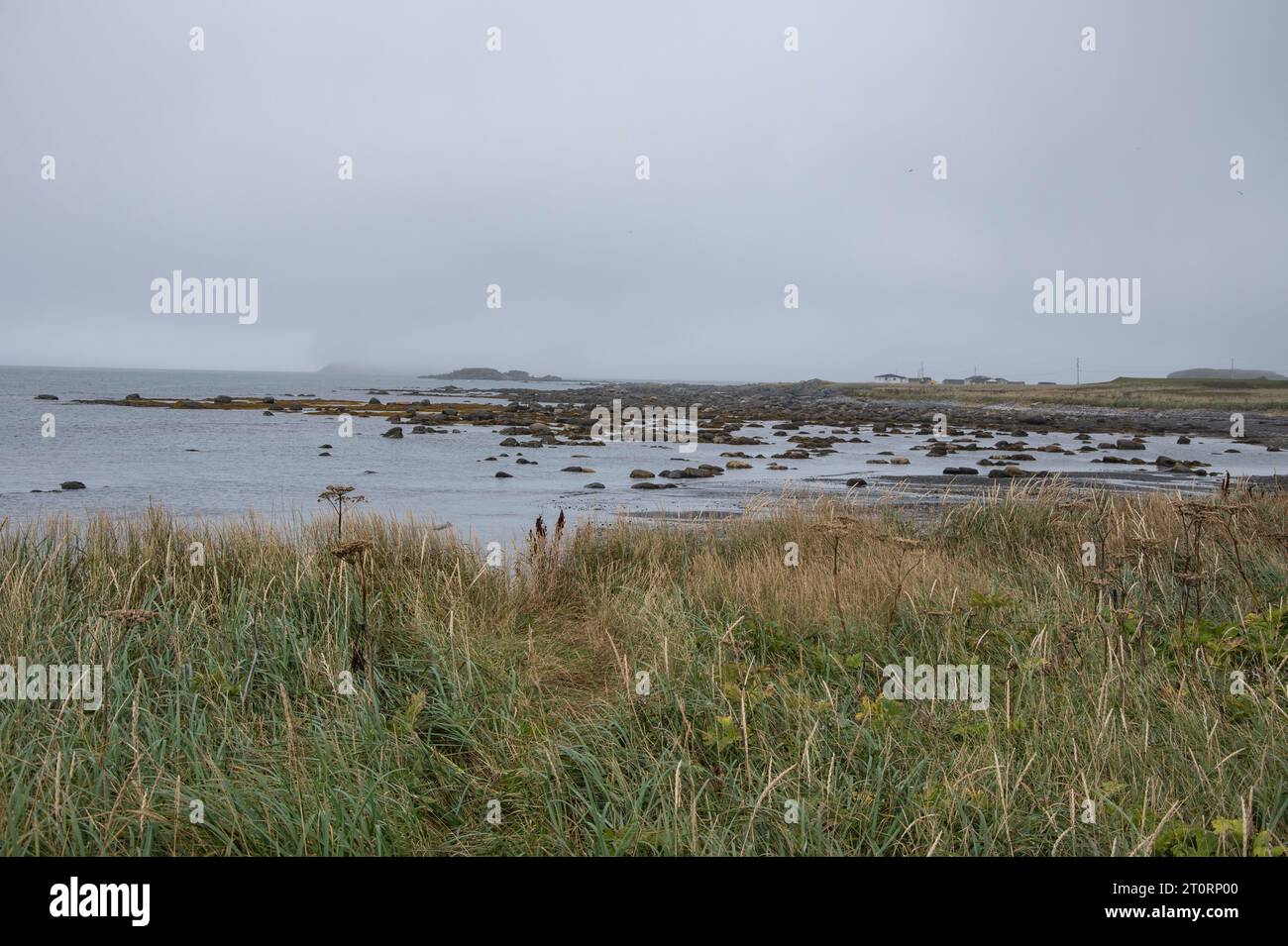 Beach in L’Anse aux Meadows, Newfoundland & Labrador, Canada Stock ...