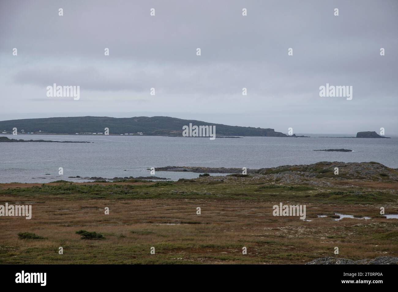 Beach in L’Anse aux Meadows, Newfoundland & Labrador, Canada Stock ...