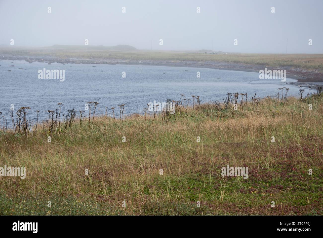 L’anse aux meadows canada hi-res stock photography and images - Alamy