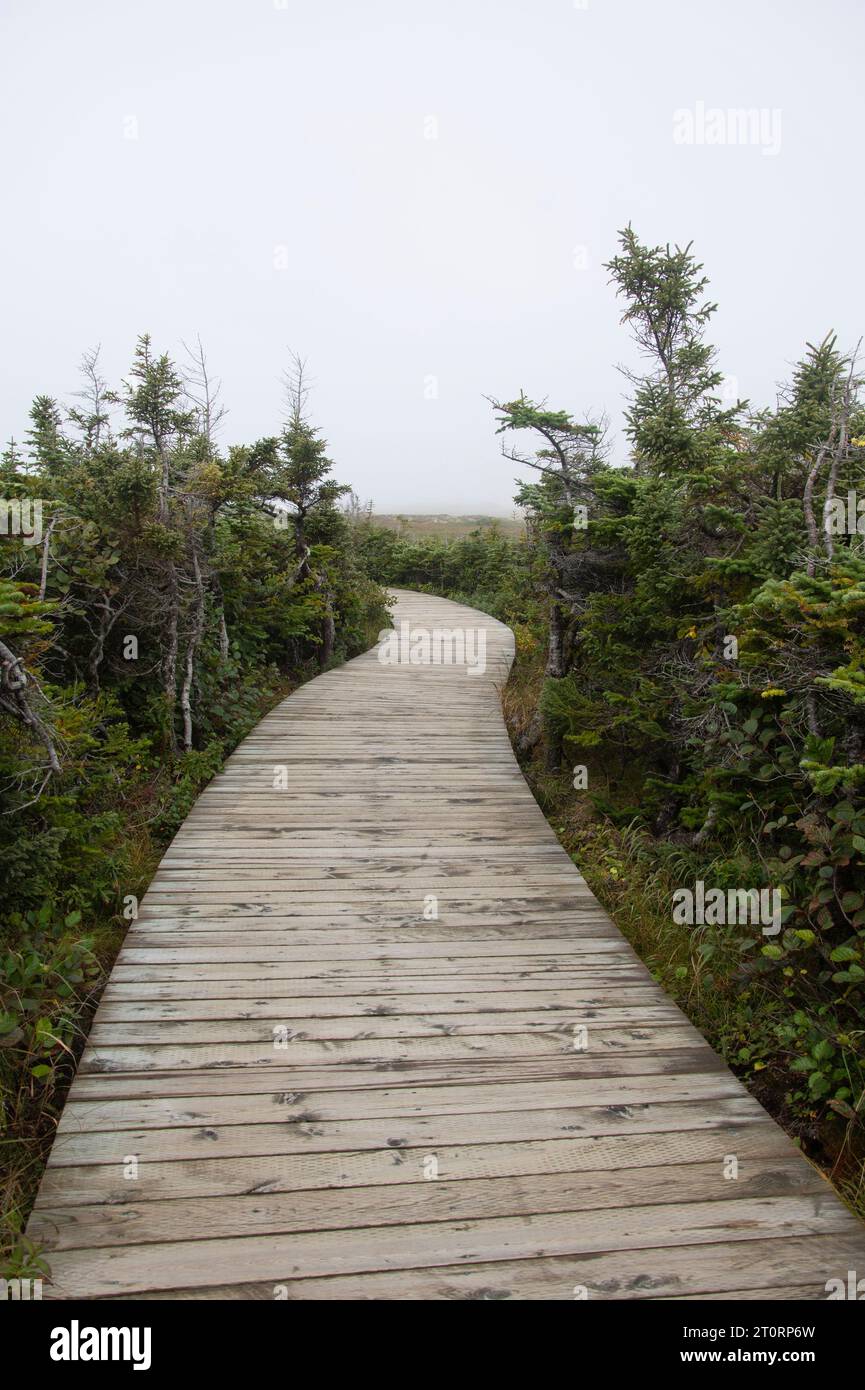 Camp boardwalk hi-res stock photography and images - Alamy