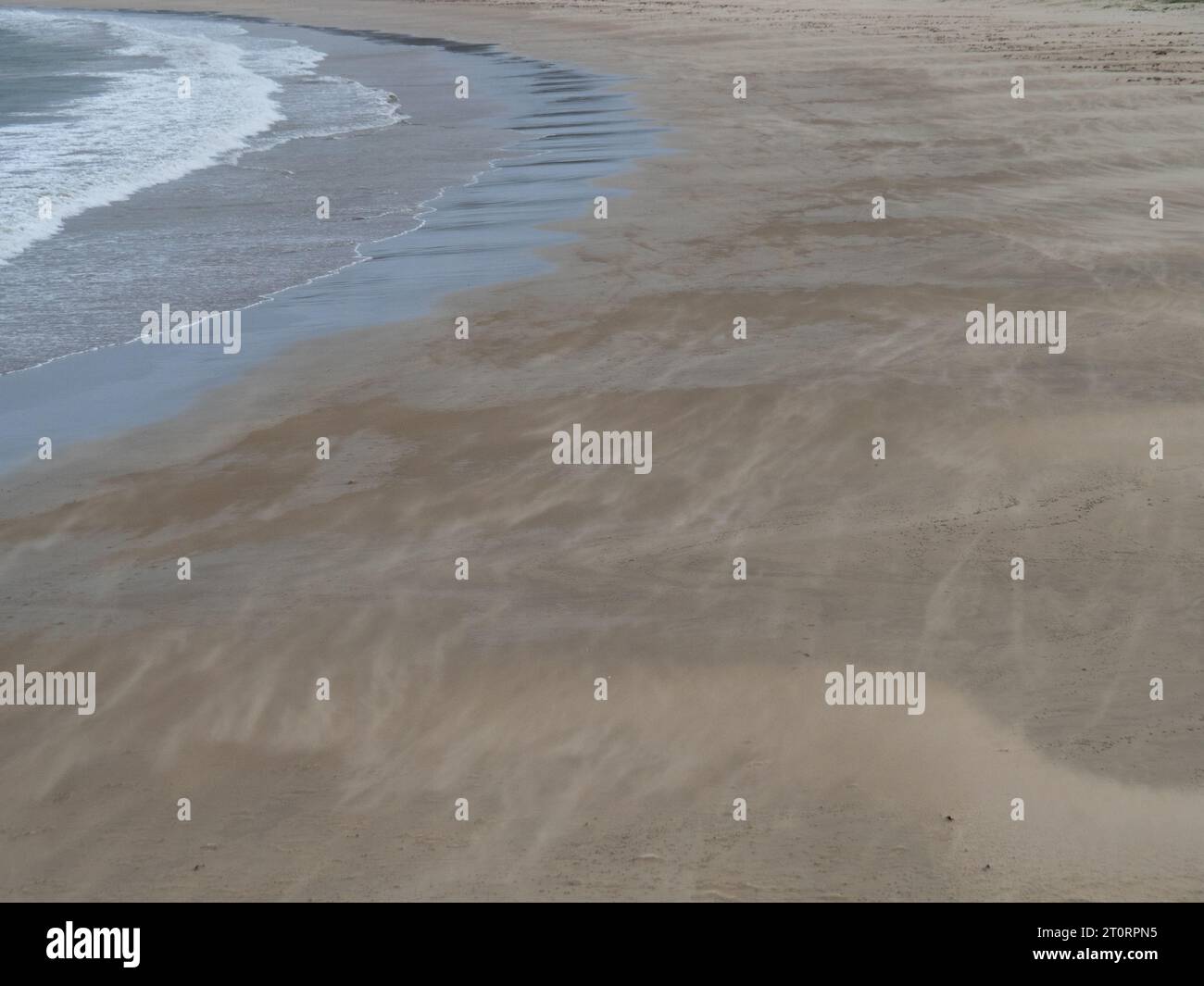 Stingy sand hi-res stock photography and images - Alamy
