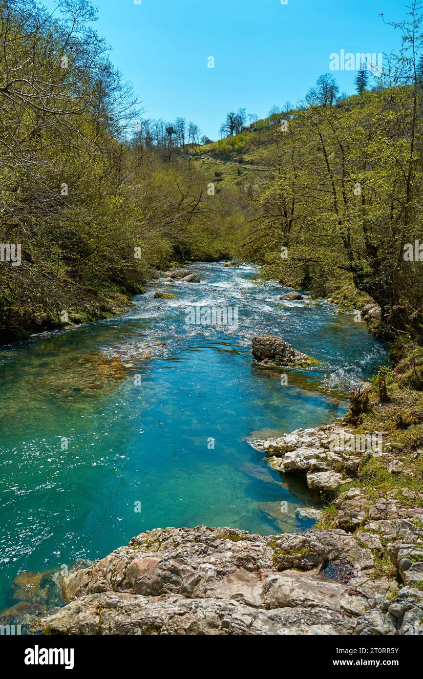 The natural pool of the mountain river with emerald clear water Stock ...