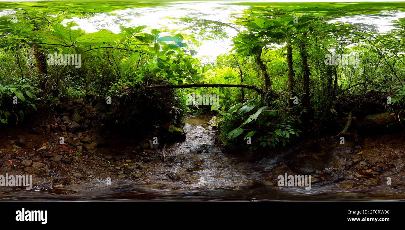 Stream in the rainforest. Negros, Philippines. 360 panorama Stock Photo ...