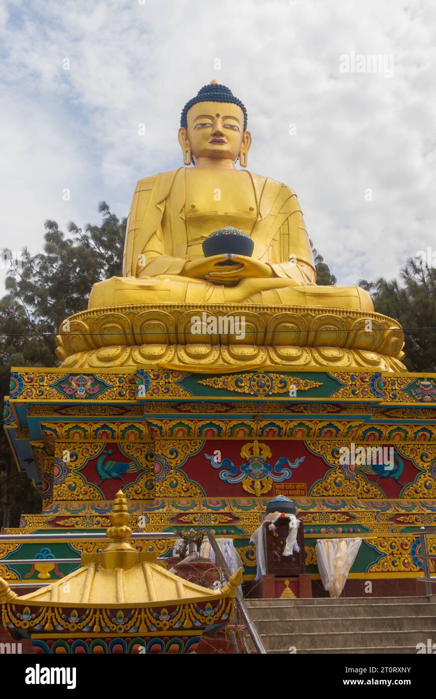 The Golden Buddha Statues in Buddha park, Swayambhunath area, Kathmandu ...