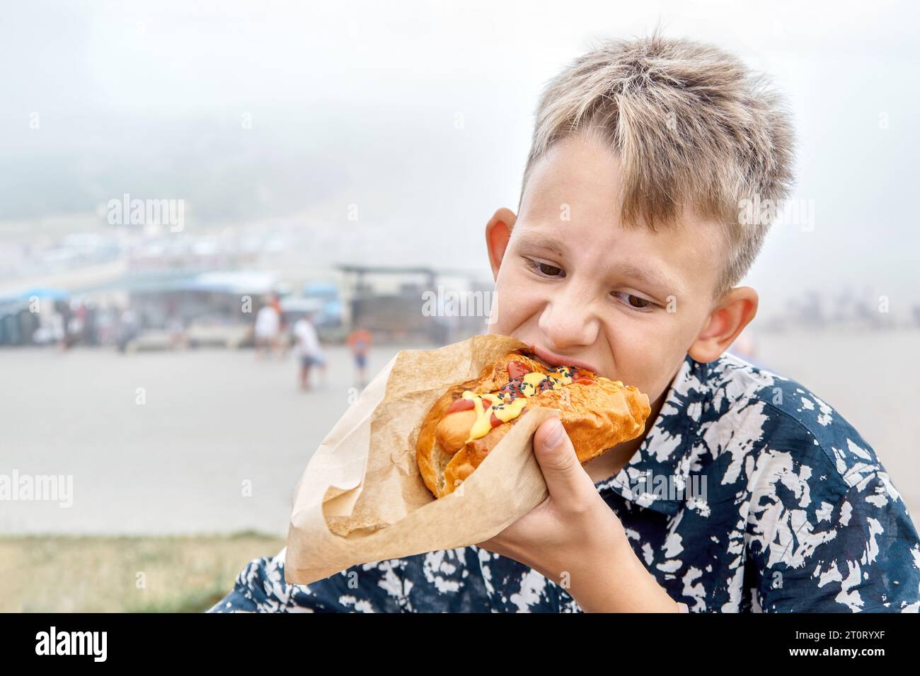 Thoughtful boy eats fresh hotdog resting in mountain park closeup. Kid ...