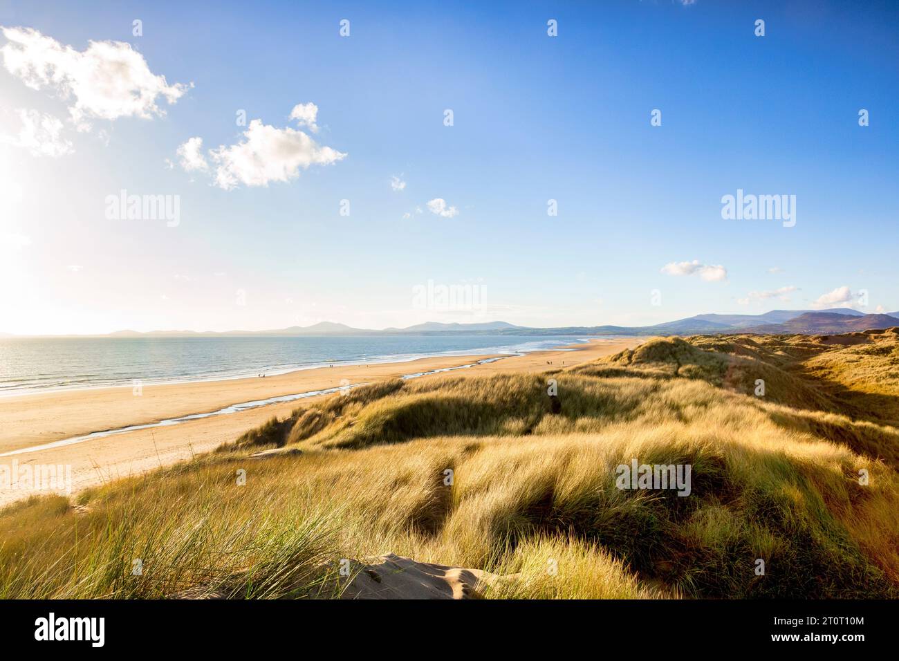 Harlech Beach and Sand Dunes in late afternoon, Gwynedd, Wales, UK ...