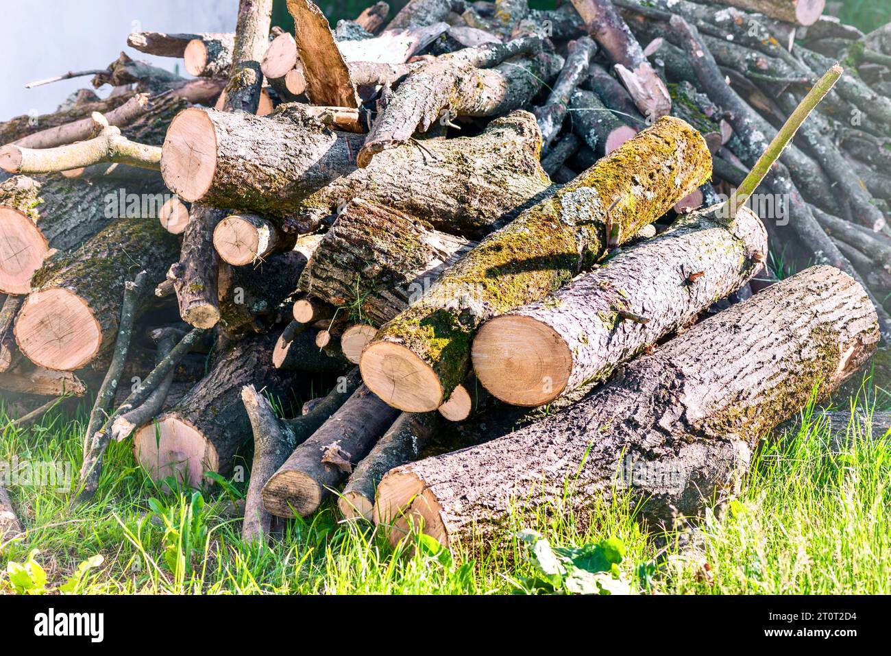 Log pile garden pine hi-res stock photography and images - Alamy