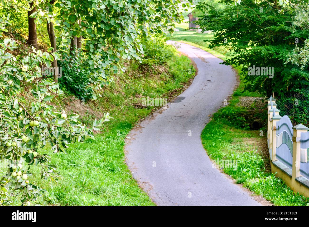 Park road apple trees hi-res stock photography and images - Alamy