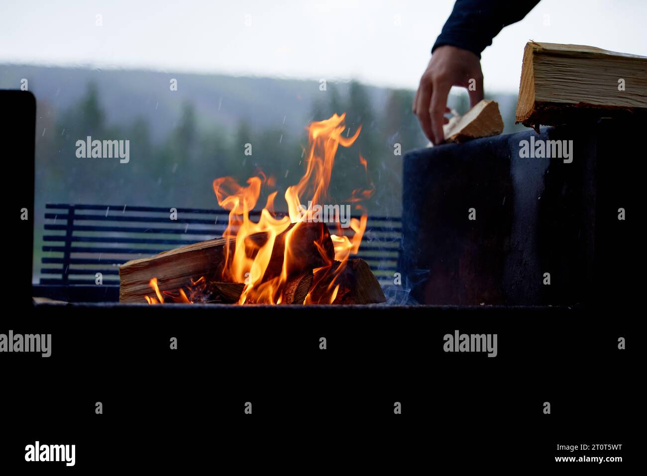 Wooden logs in an open fire out in the nature with a hand picking up a ...