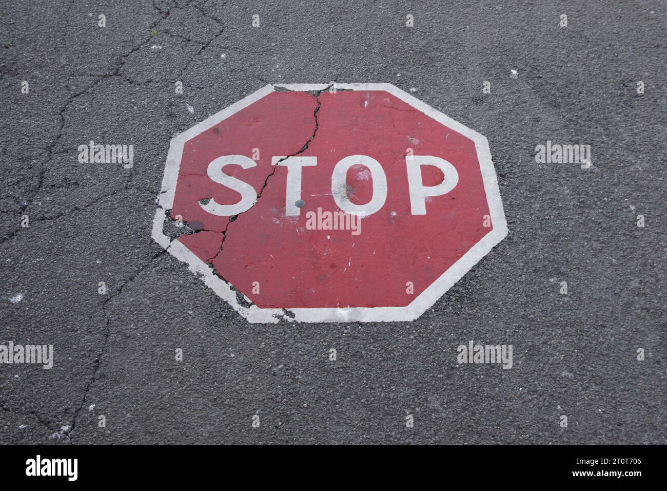 stop sign floor paint white red text painted on black asphalt street ...