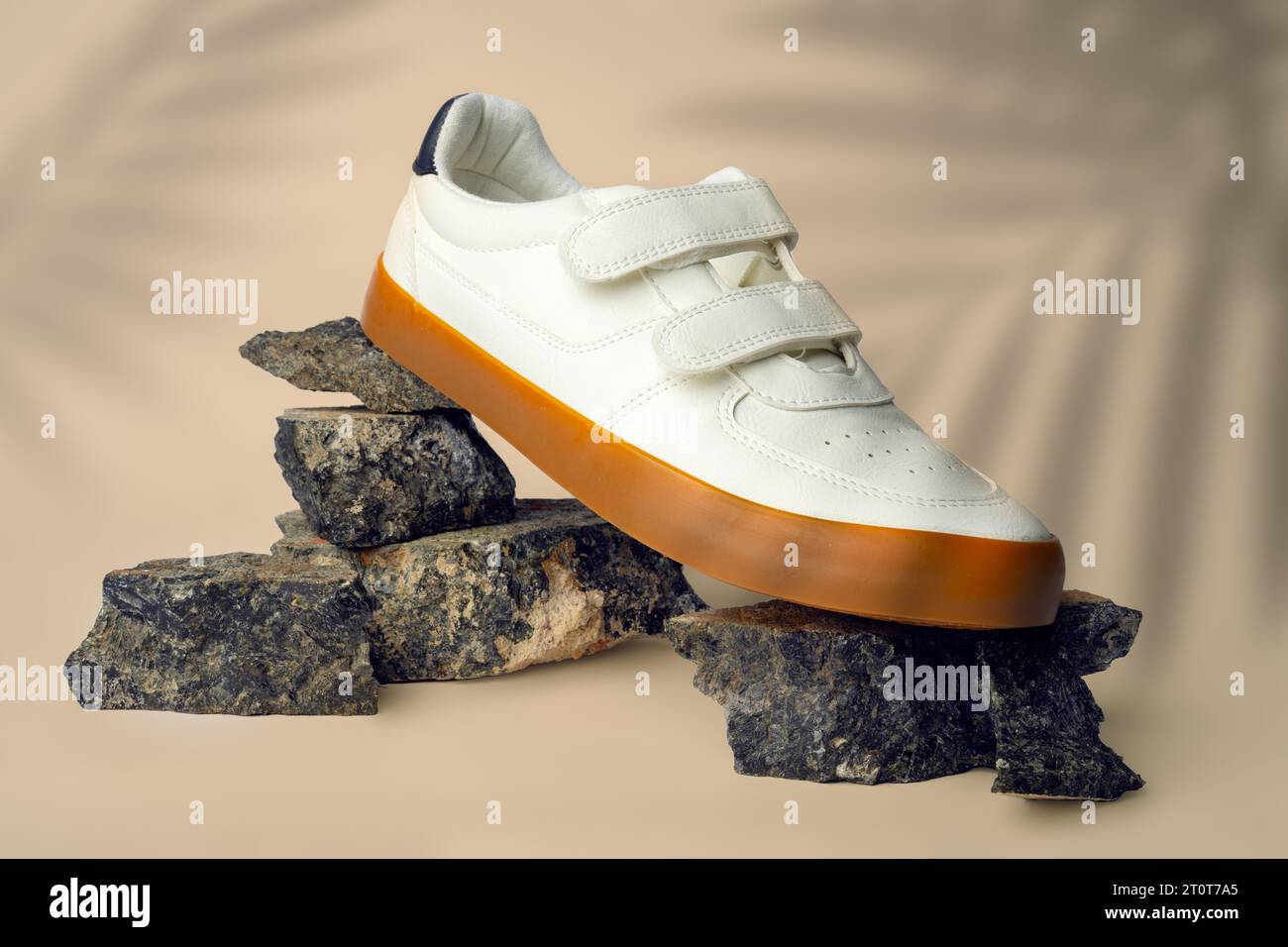 Sneaker on leaves hi-res stock photography and images - Alamy