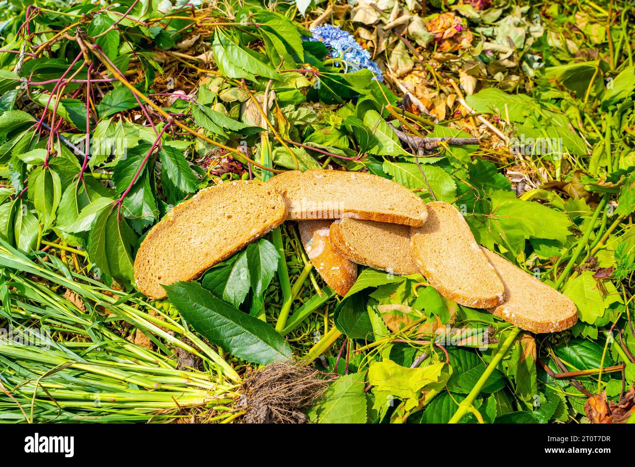 Weeds compost heap hi-res stock photography and images - Alamy