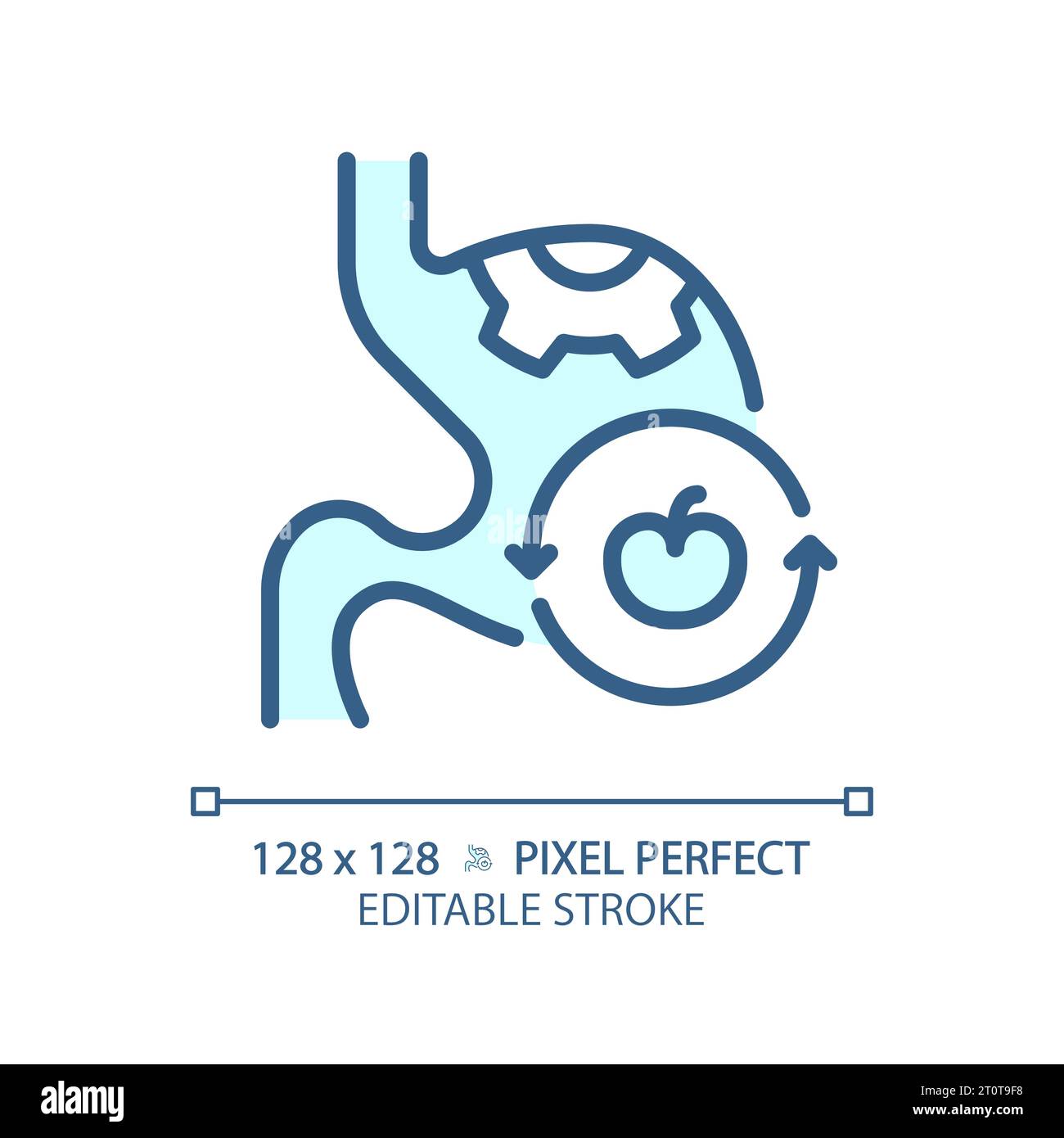 2D thin line blue digestive system with fruit icon Stock Vector Image ...