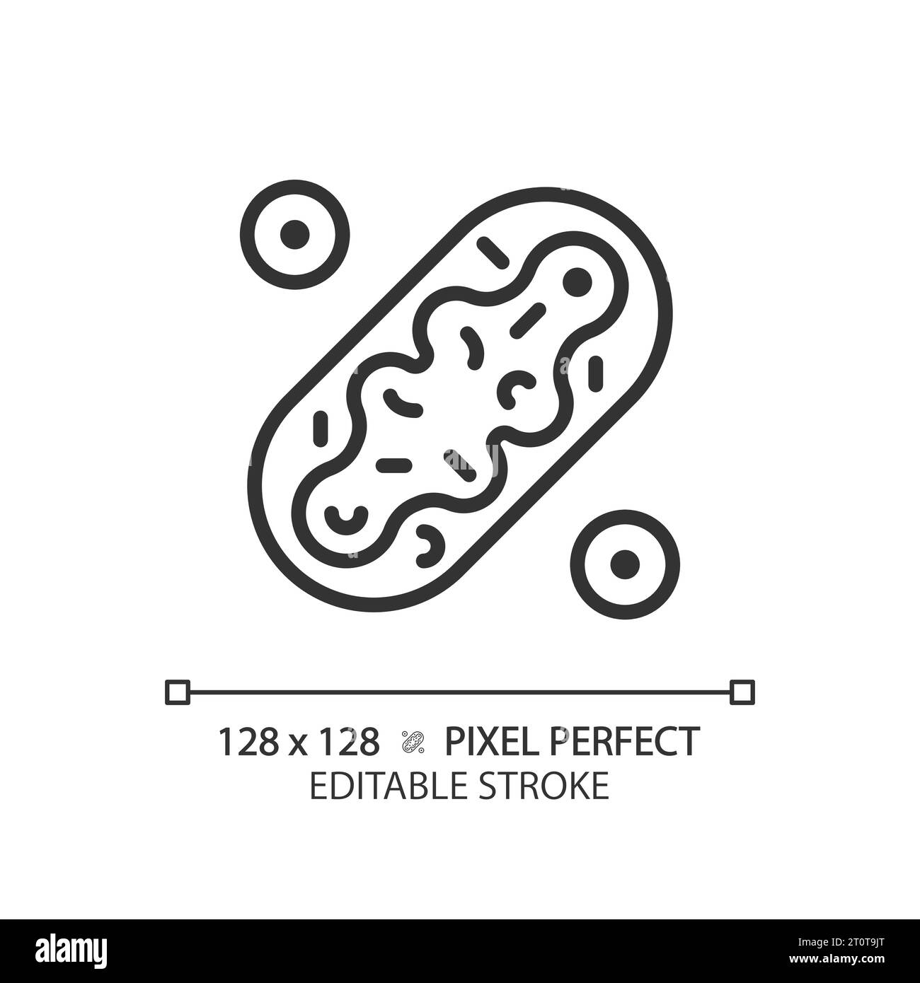 2d Customizable Thin Line Black Mitochondria Icon Stock Vector Image