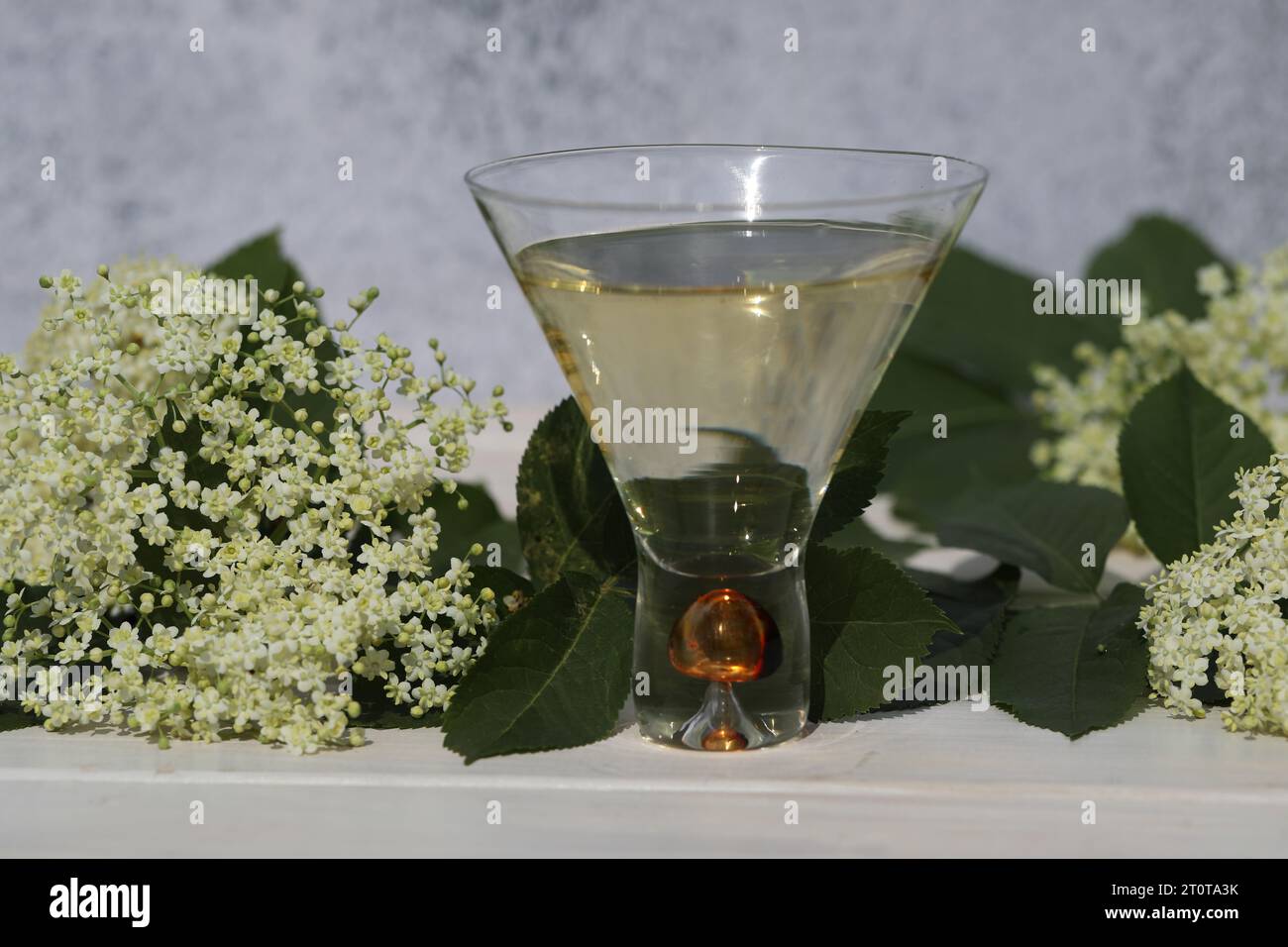 original glass with elderflower liqueur with decoration of elder ...