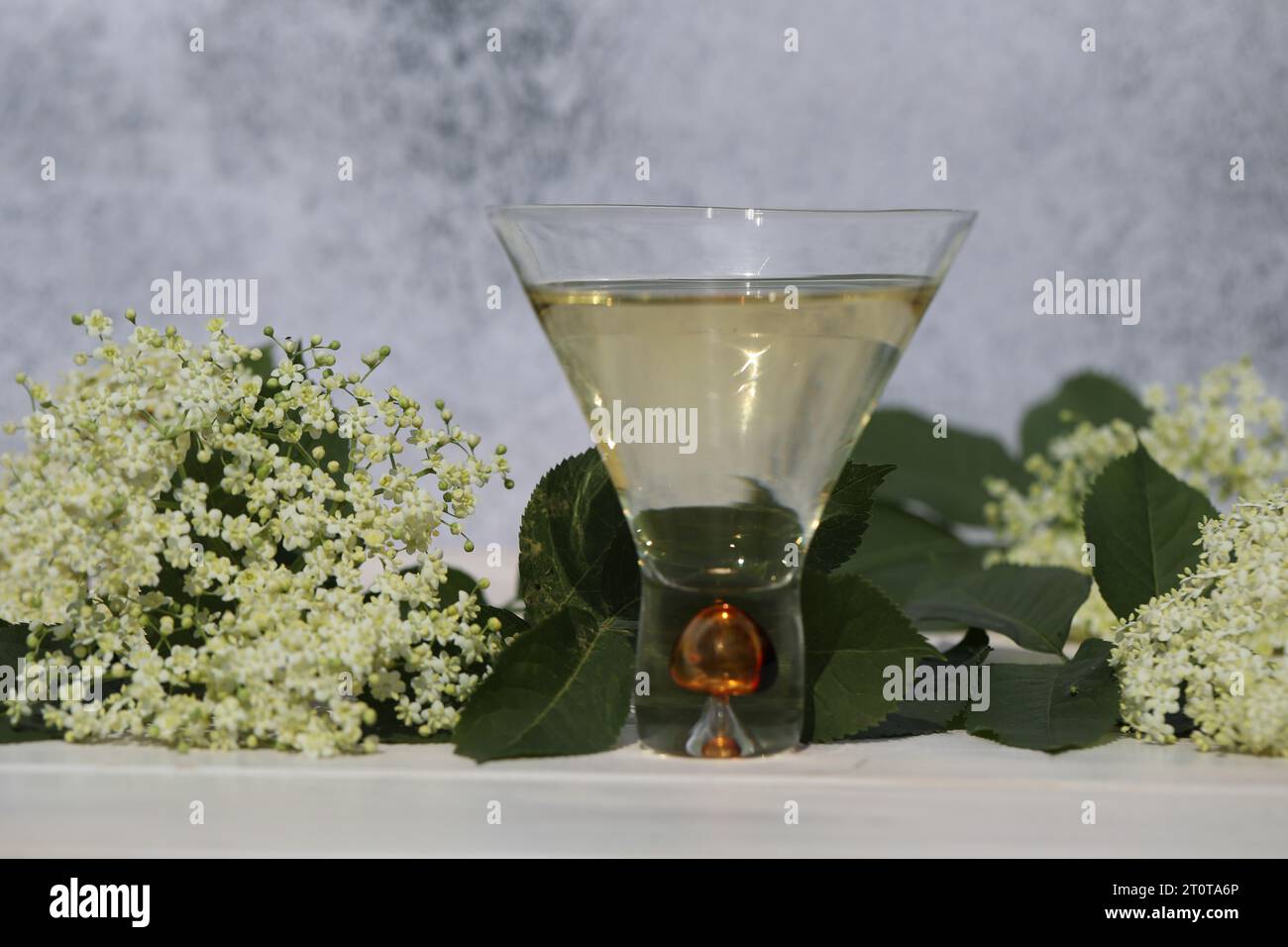 original glass with elderflower liqueur with decoration of elder ...