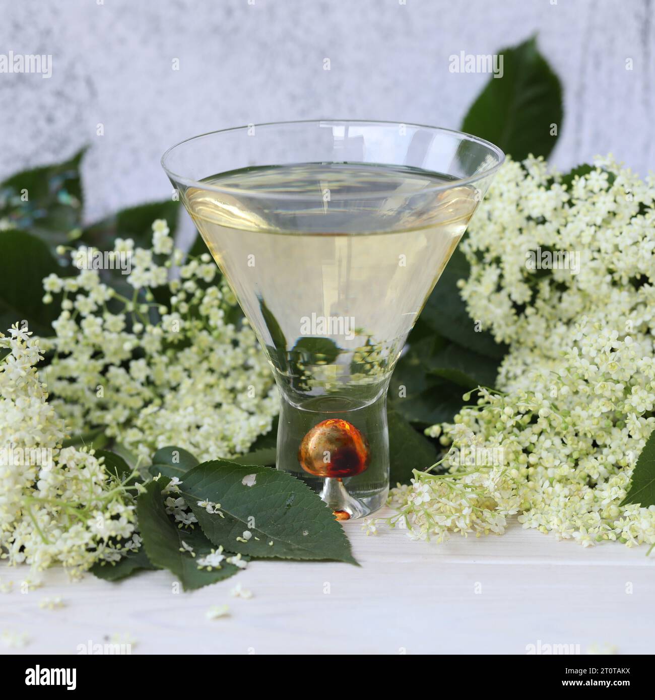 original glass with elderflower liqueur with decoration of elder ...