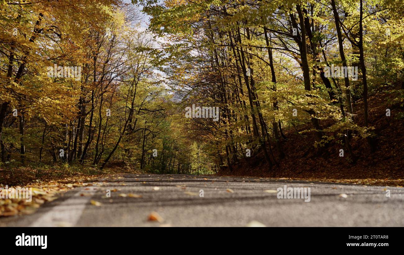 Slow motion shot low angle hi-res stock photography and images - Alamy