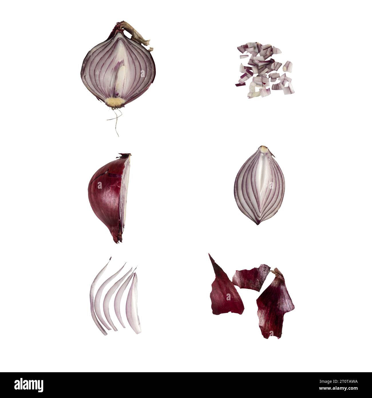 an onion cut on a transparent background Stock Photo - Alamy