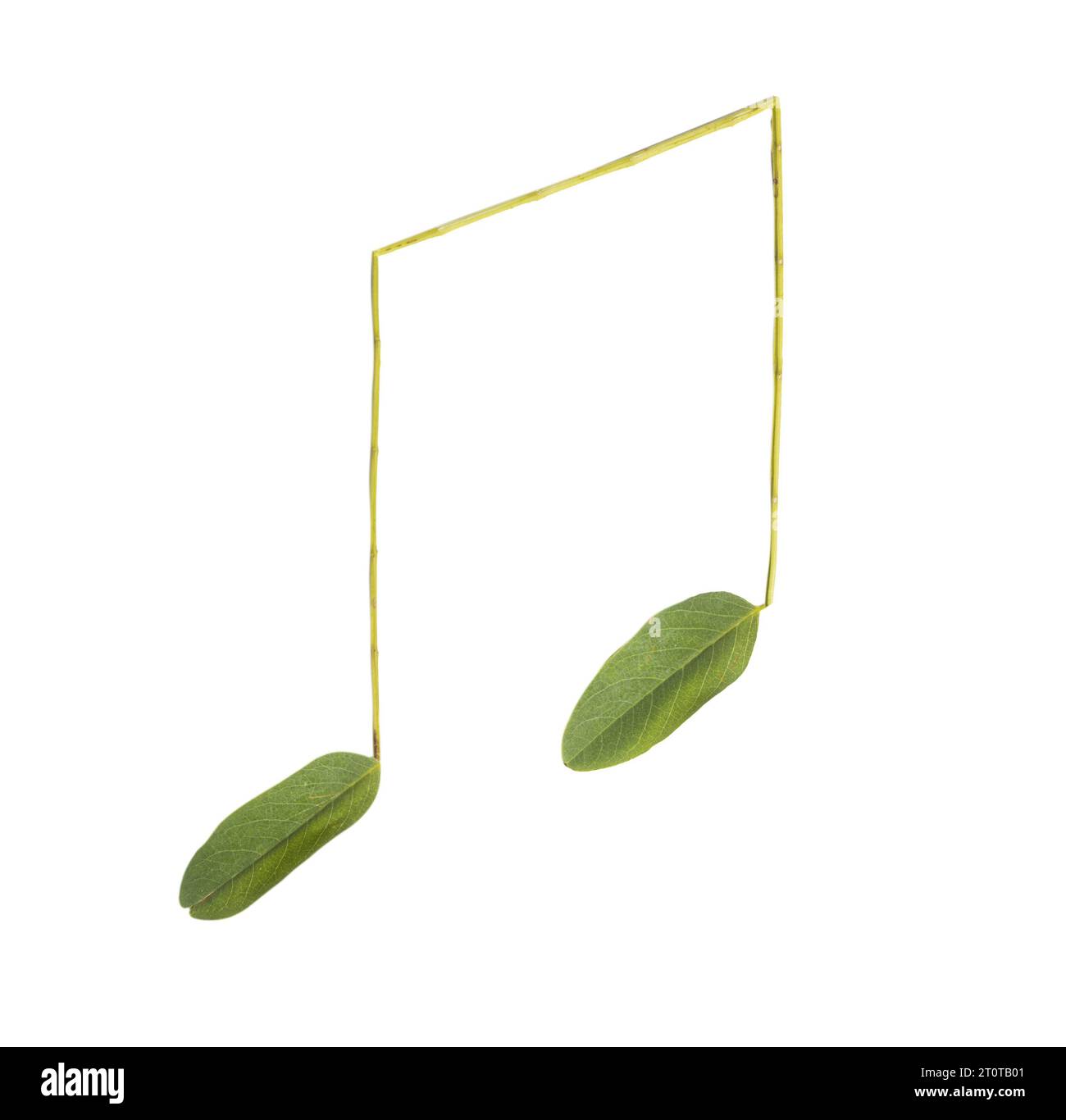 musical notes made with leaves placed on a transparent background Stock ...
