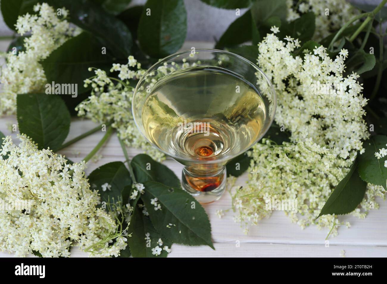 original glass with elderflower liqueur with decoration of elder ...