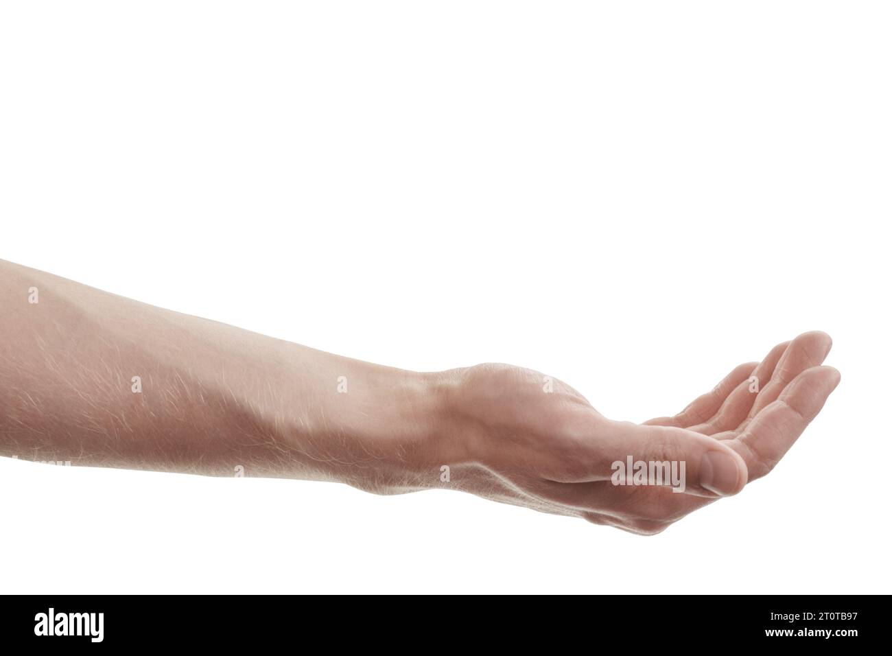 Man hand to hold something isolated on white background, photo for ...