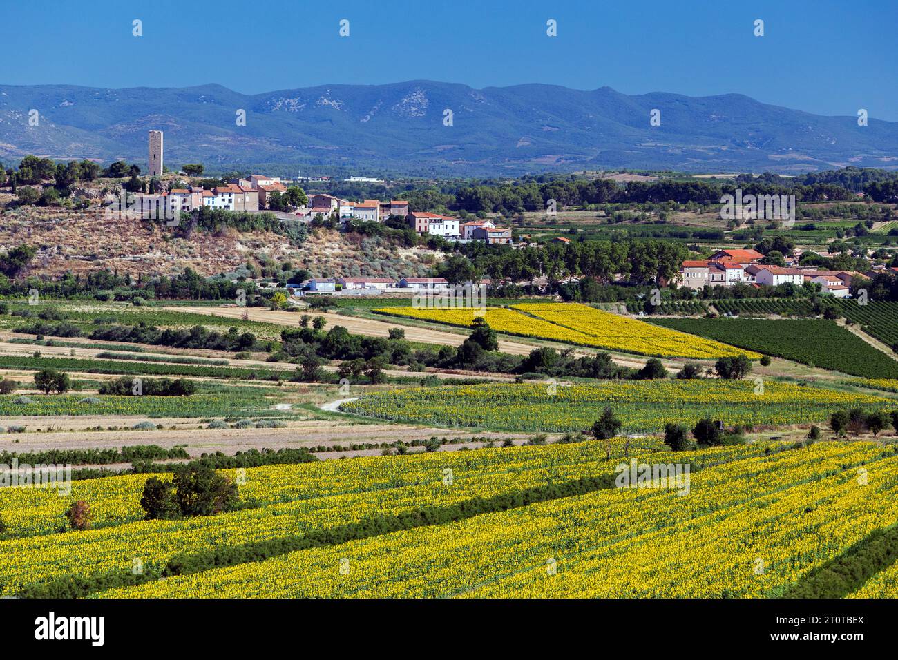 View of the dry pond of Montady from the archaeological site of the ...