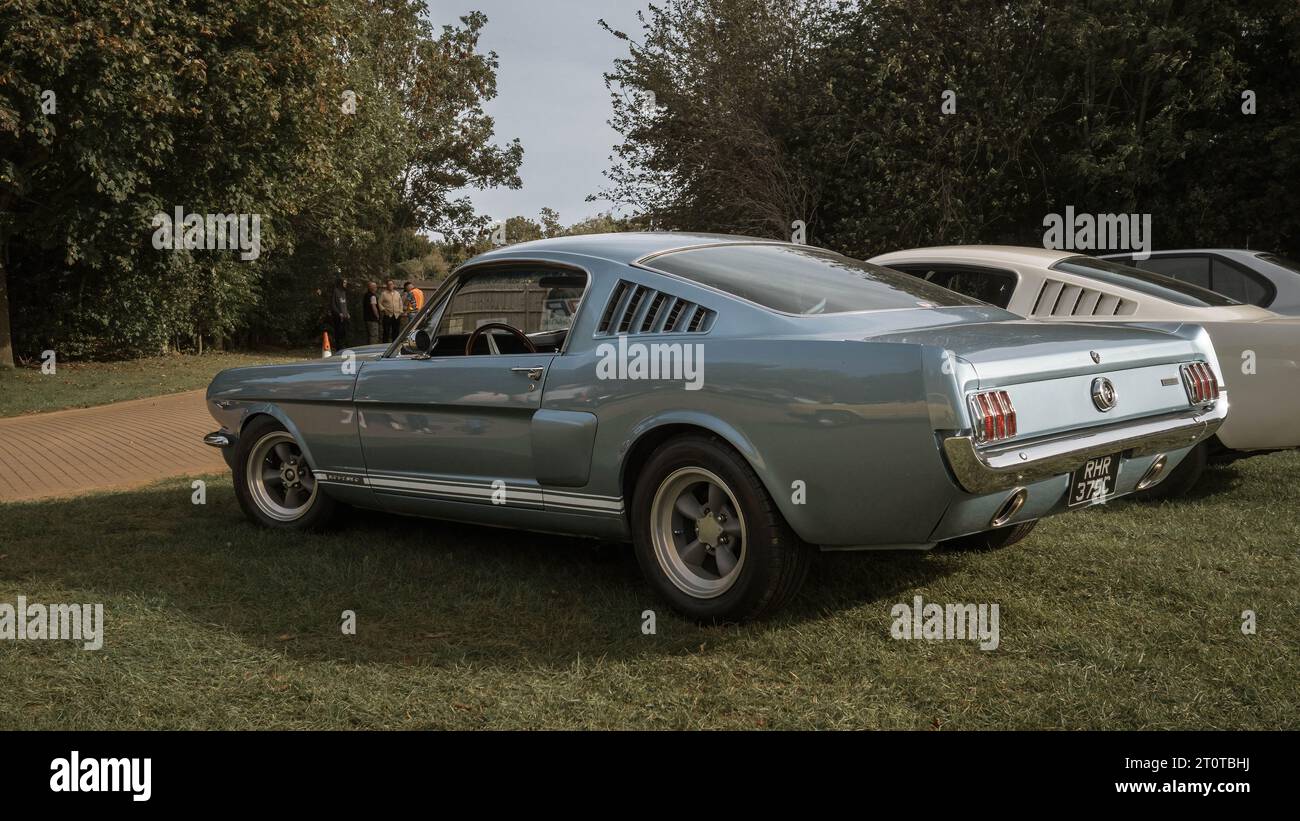 1960s mustang fastback gt hi-res stock photography and images - Alamy