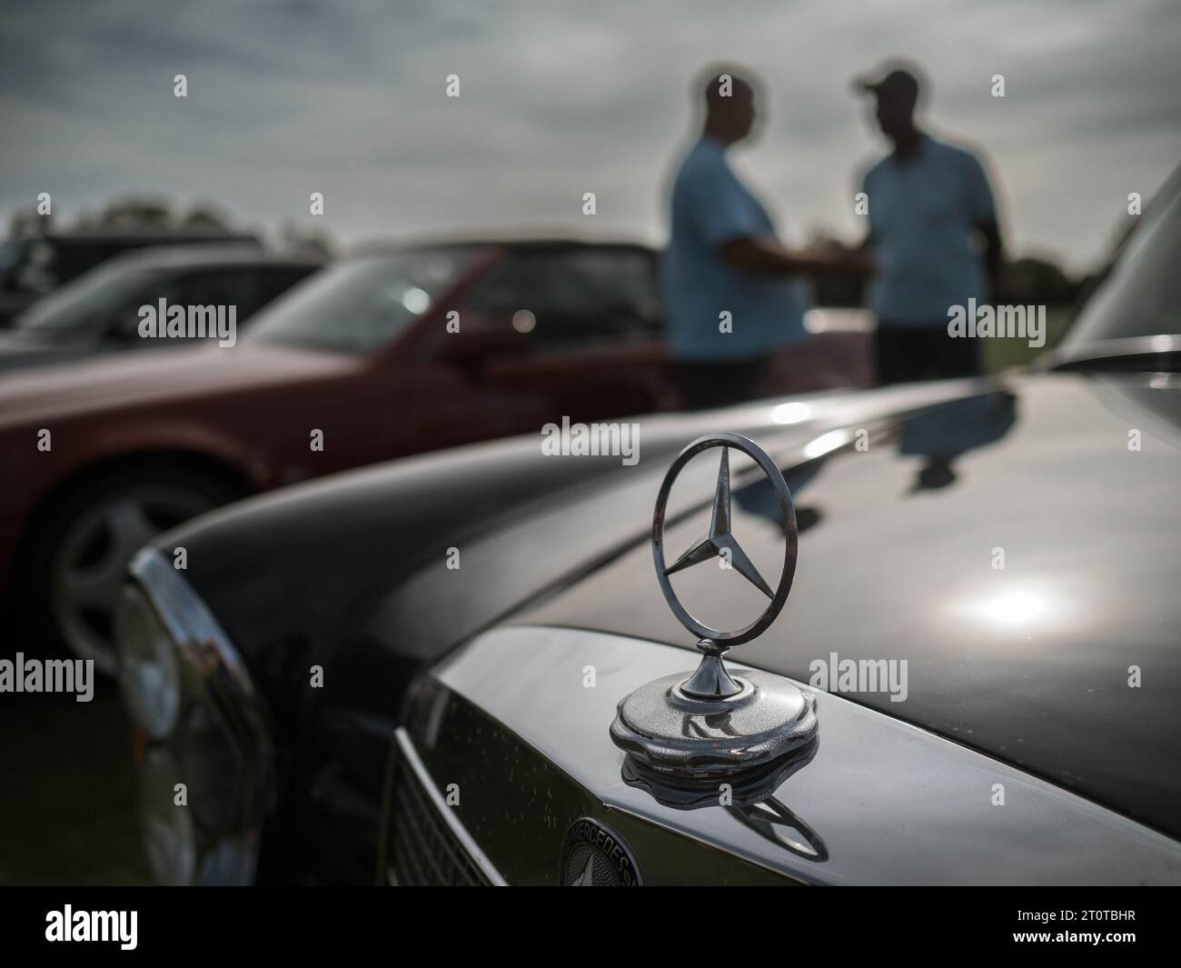Bonnet detail showing the classic 3-pointed star on a Mercedes-Benz ...