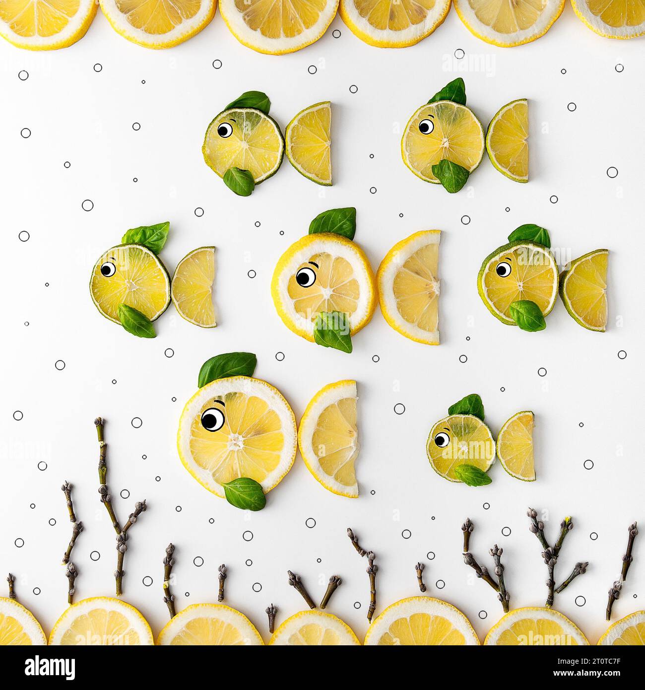 A top view of a composition of lemon slices in shape of fish Stock ...