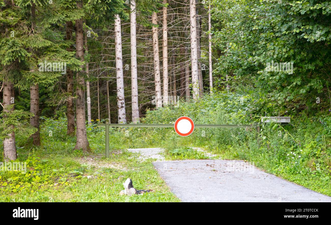 Forrest road in Italy, no entry, blocked Stock Photo - Alamy