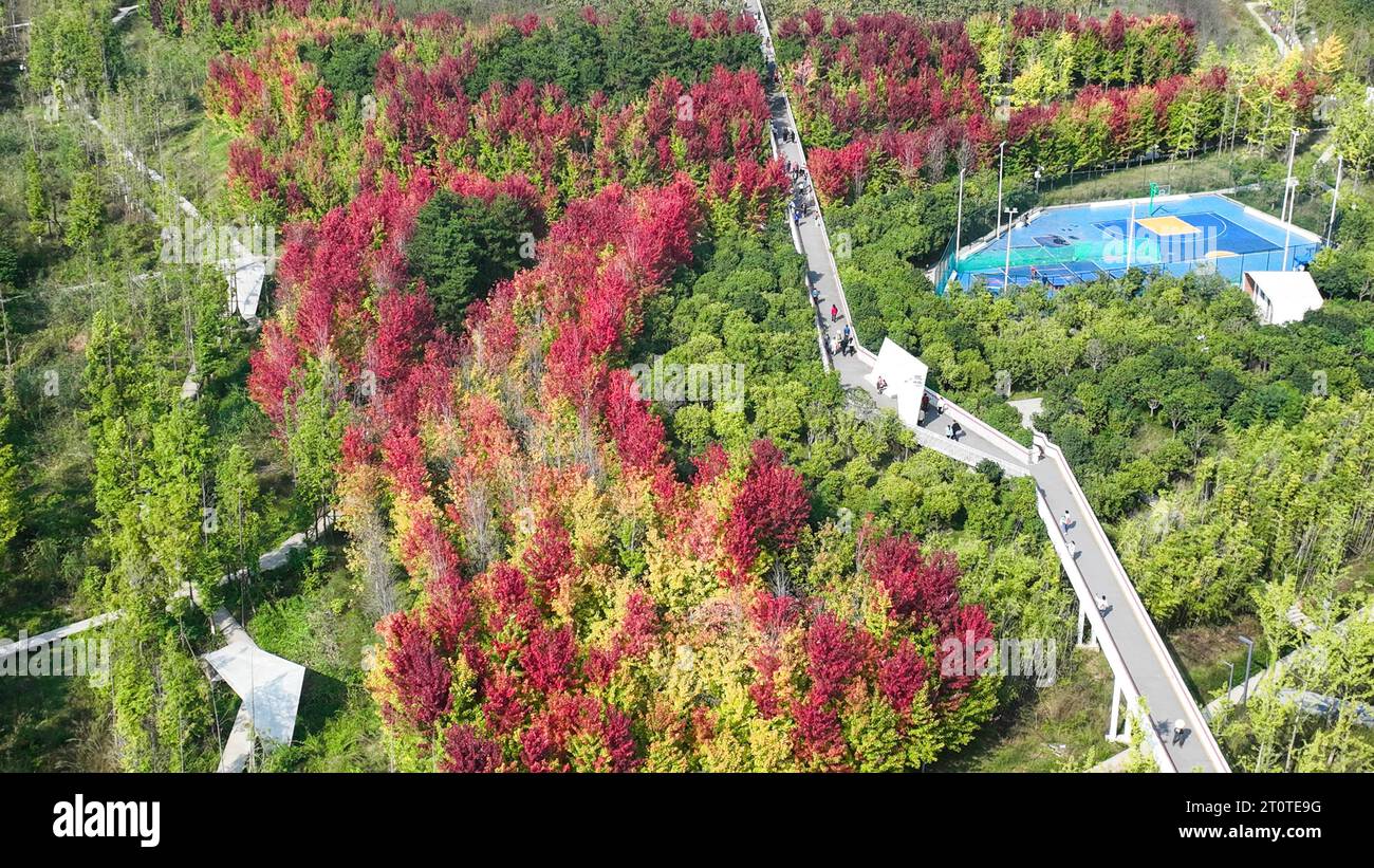 Aerial photos show the autumn scenery of Yannan Park in Xi'an City ...