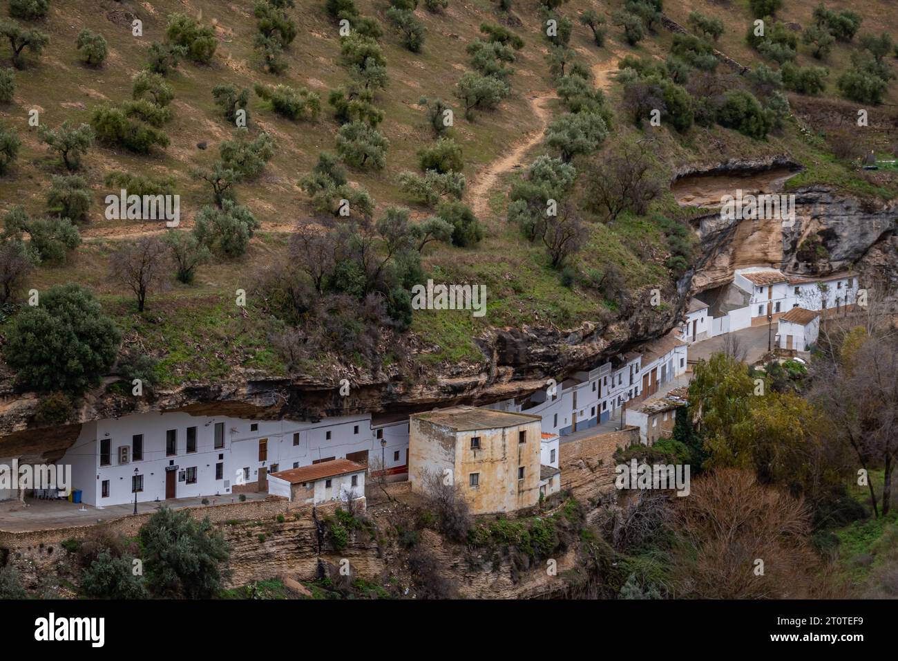Setenil de las Bodegas, white village with its houses built into a rock ...