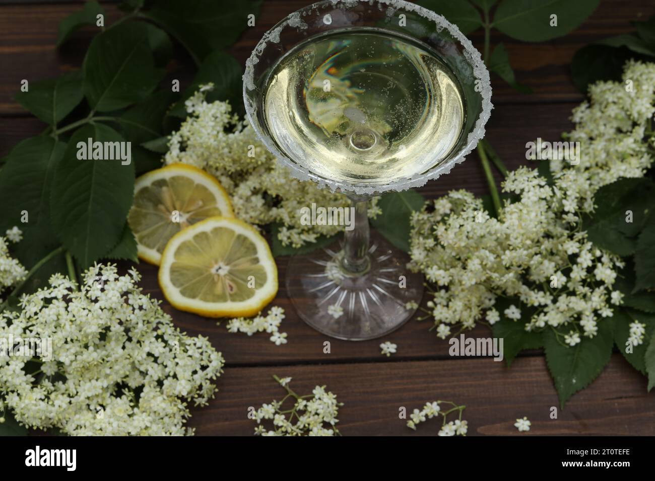Glass of champagne with elderflower liqueur. Decorated with white elder ...