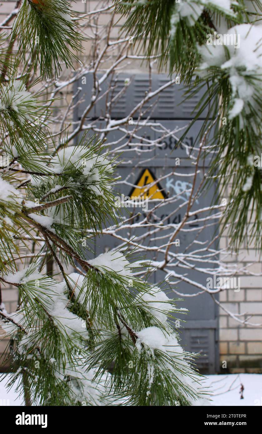 Snow Covered Pine Tree In Front Of Transformer Building With Metal Door ...