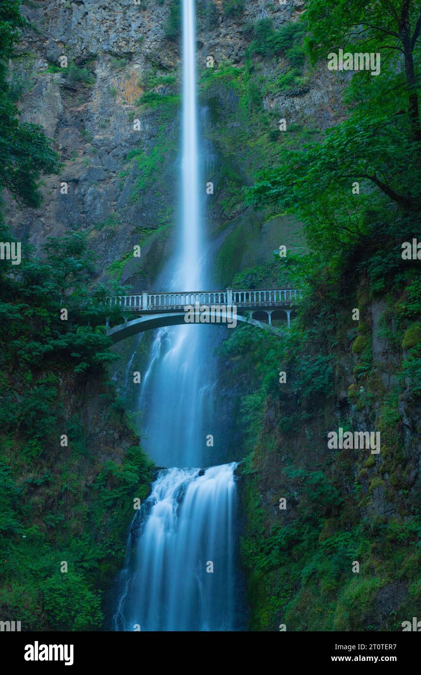 A lush forest surrounds a tranquil river, where a waterfall cascades ...