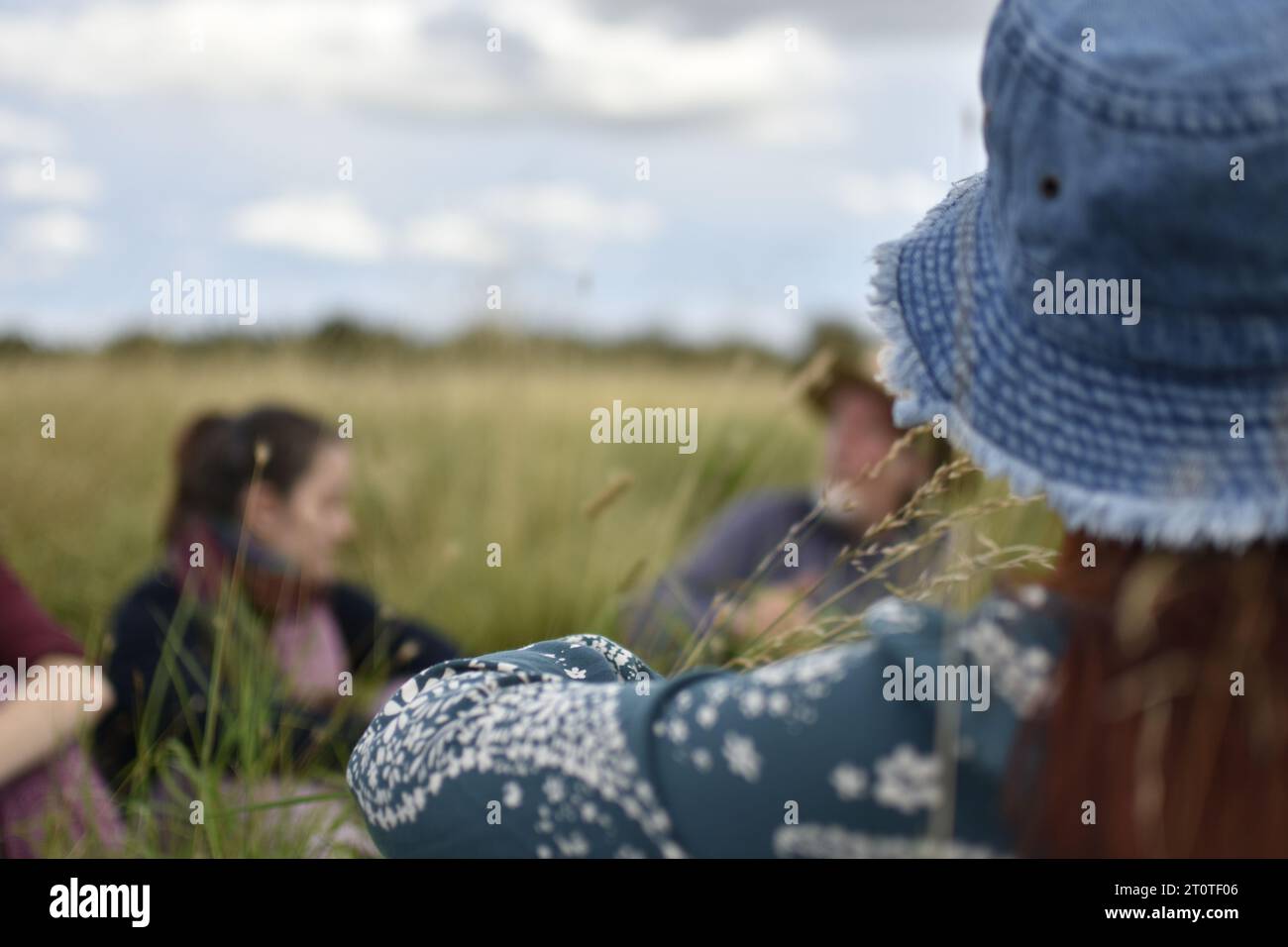 Vivid Colours giving out a wondrous summer feel Stock Photo - Alamy