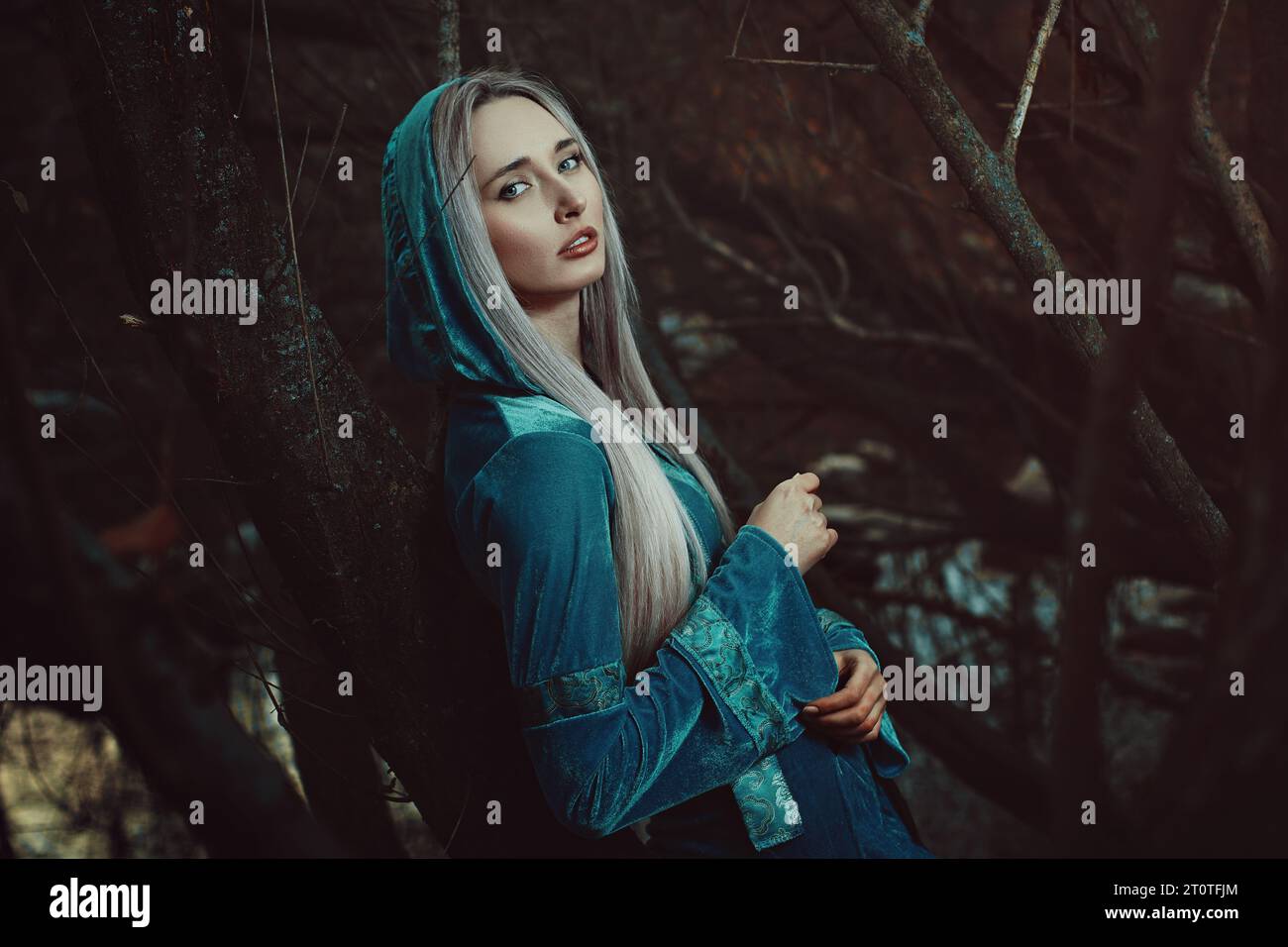 Fairy elfin princess in dead forest Stock Photo - Alamy