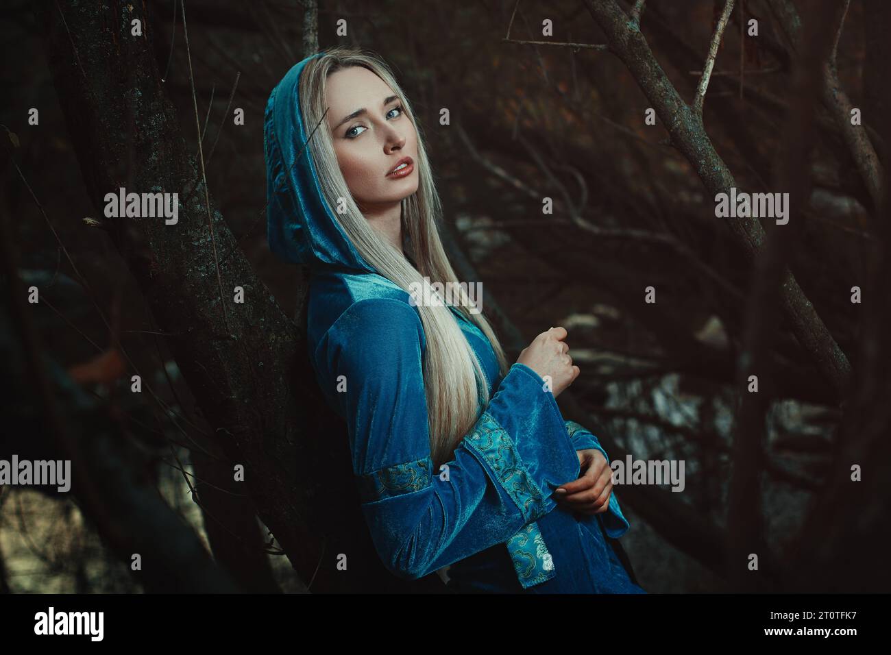 Princess forest hi-res stock photography and images - Alamy