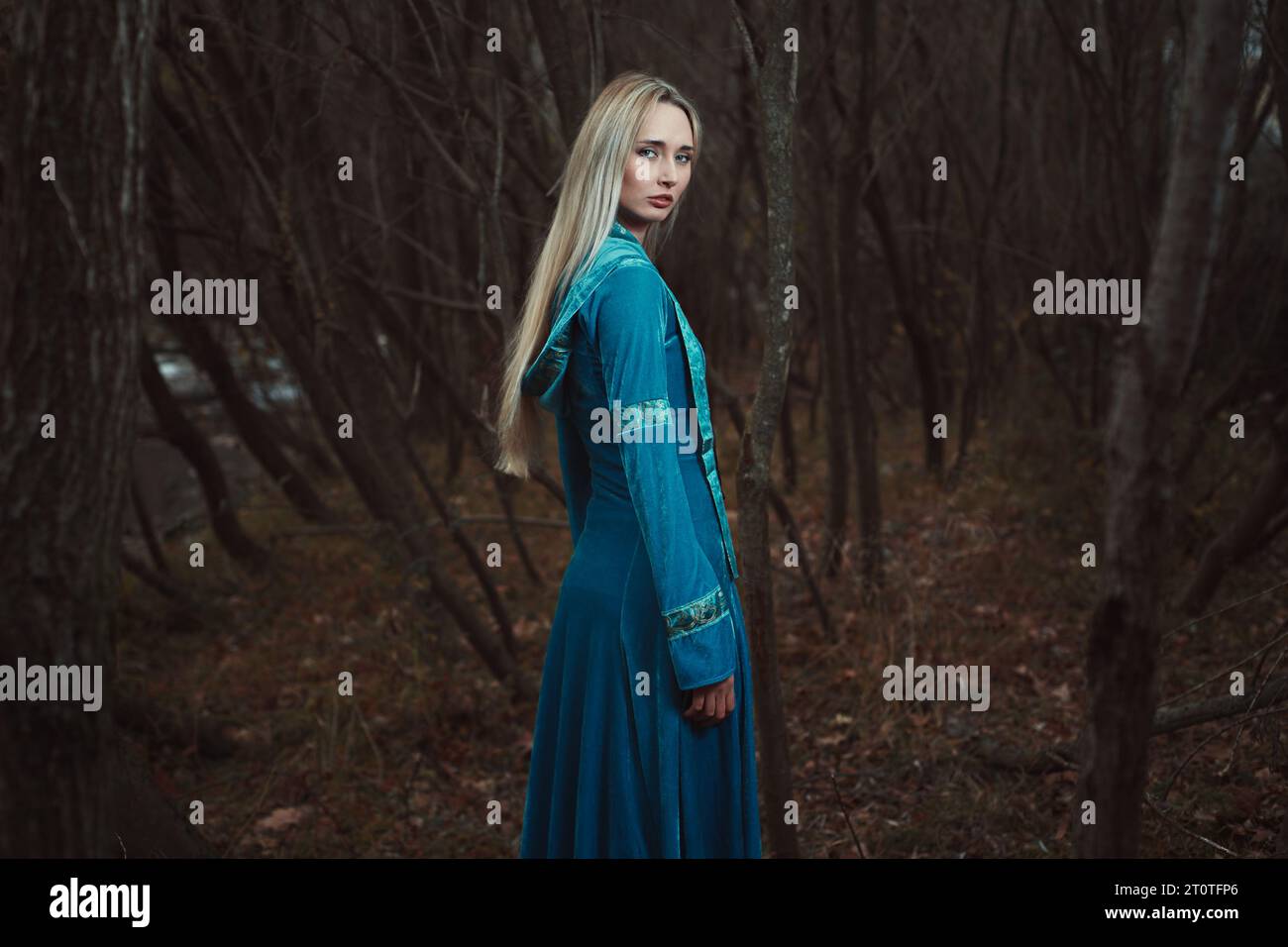 Norse princess hi-res stock photography and images - Alamy