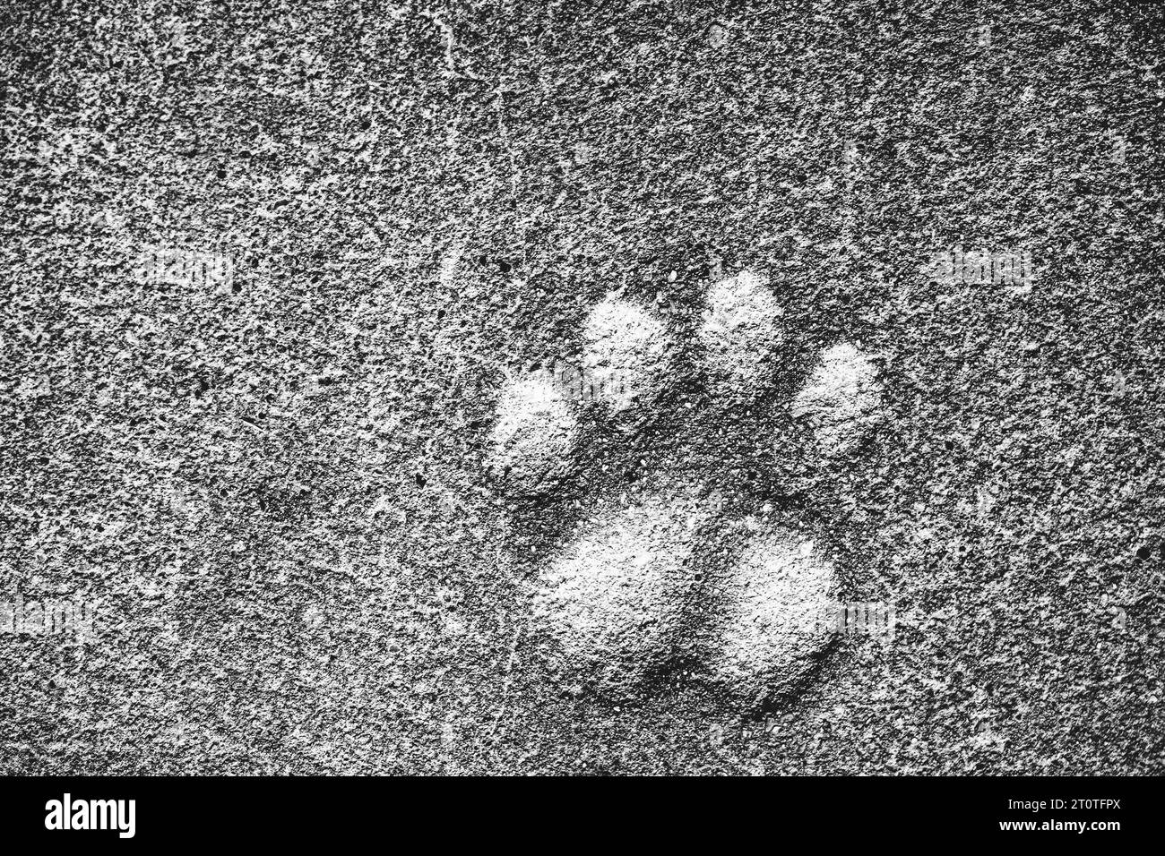 Feline animal paw shape Stock Photo - Alamy